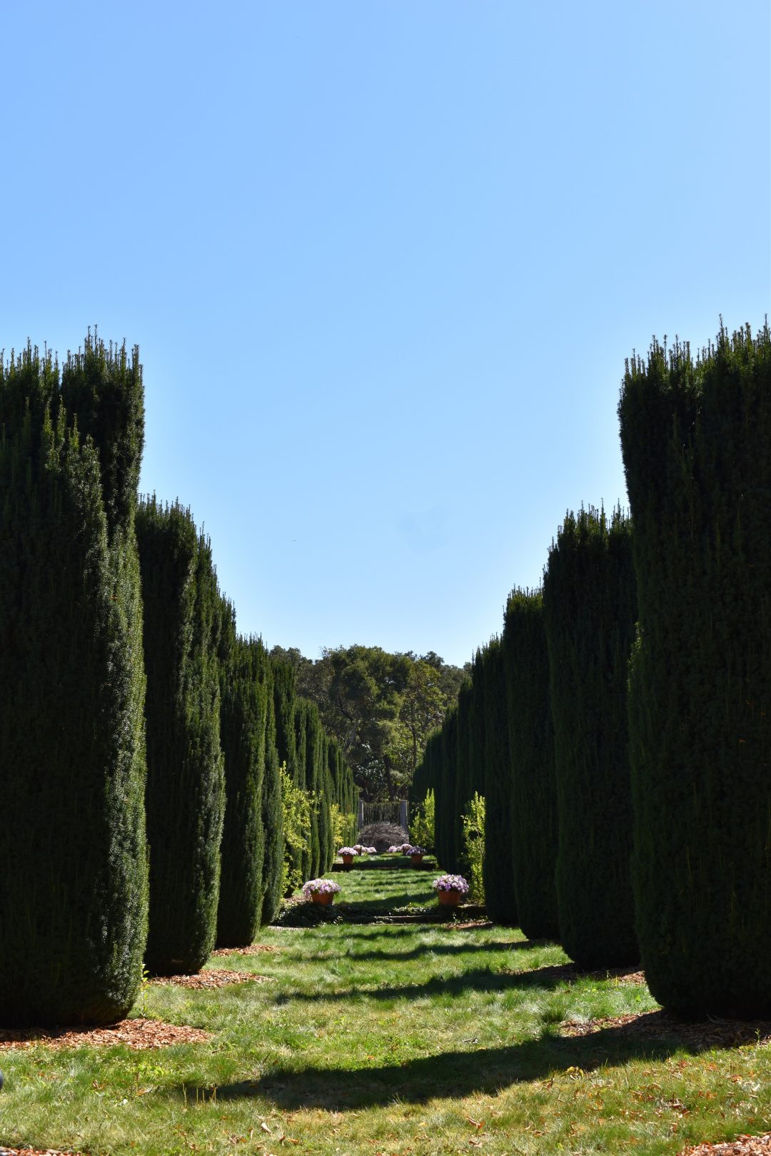 California’s Greatest Estates | Filoli – The Extravagant